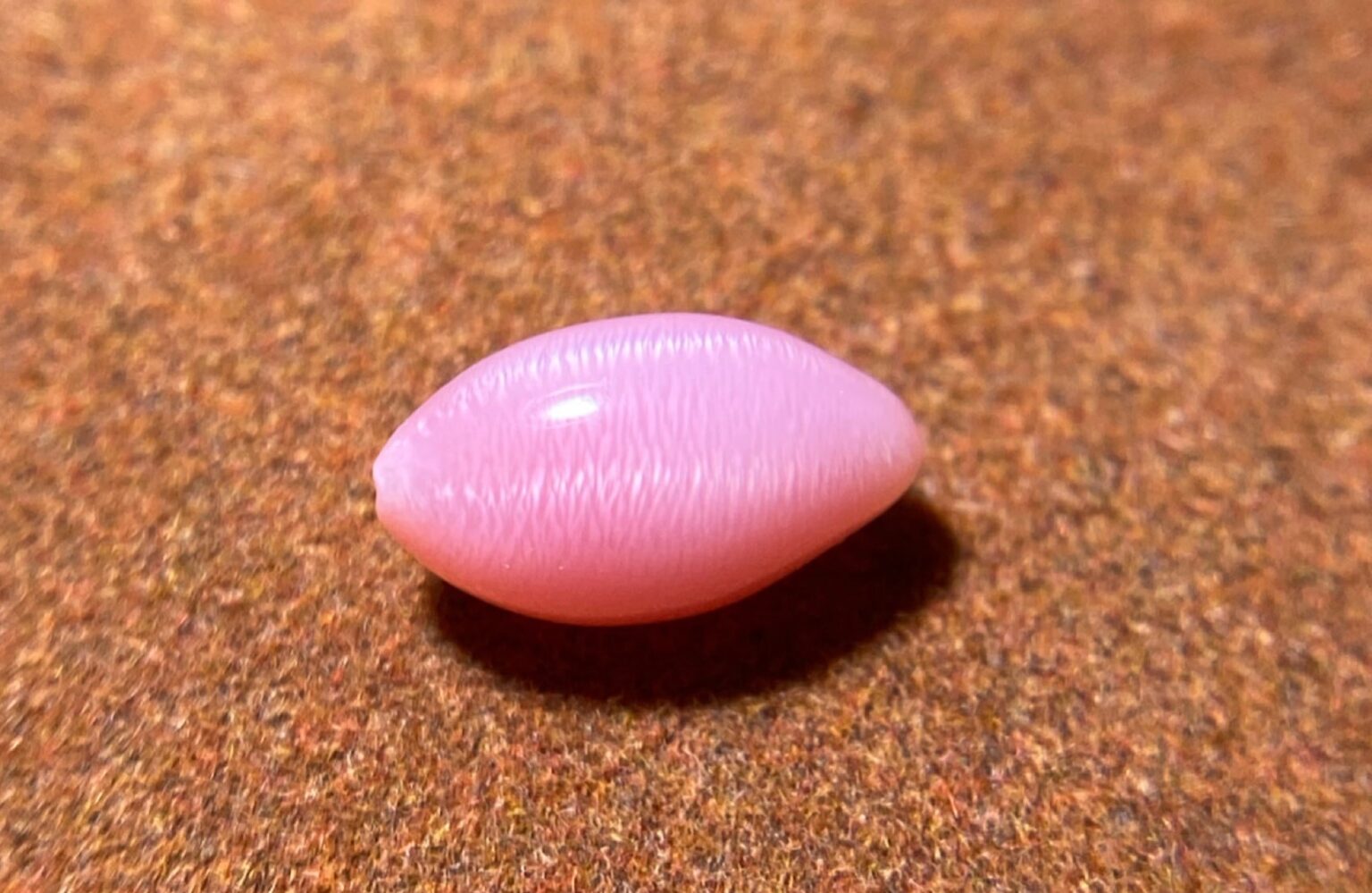 Conch pearls: Everything you need to know about these rarest pearls